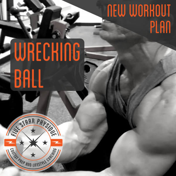 Wrecking Ball | Five Starr Physique